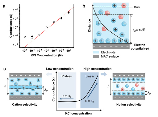 울산과학기술원(UNIST), 빛으로 이온 거동 제어하는 맥신 이온채널 개발